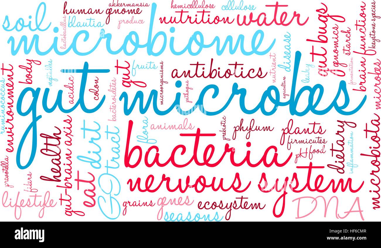 Gut Microbes word cloud on a white background Stock Vector Image & Art ...
