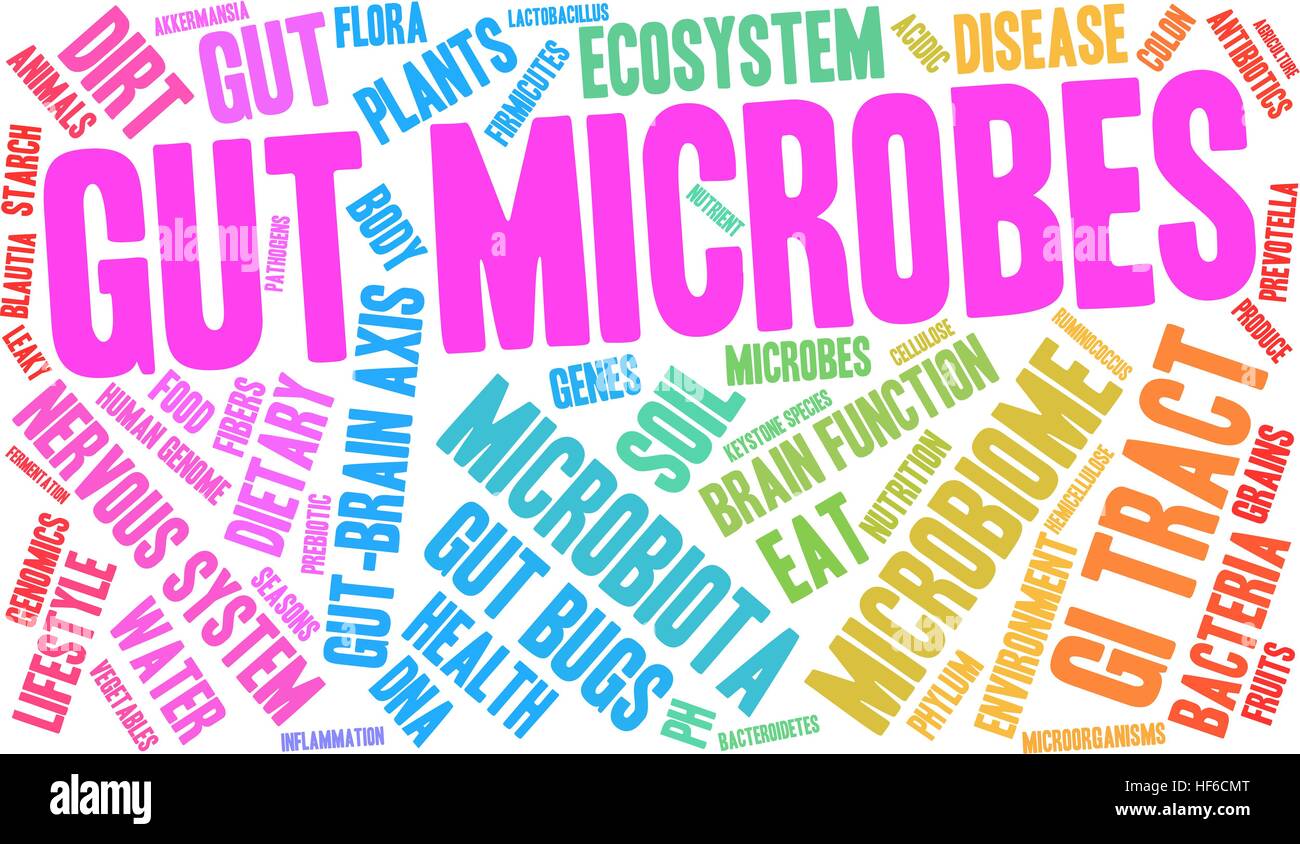 Gut Microbes word cloud on a white background Stock Vector Image & Art ...