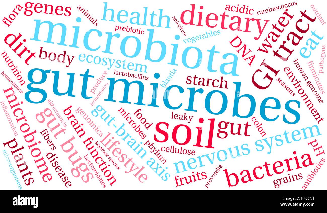 Gut microbiota vector vectors hi-res stock photography and images - Alamy