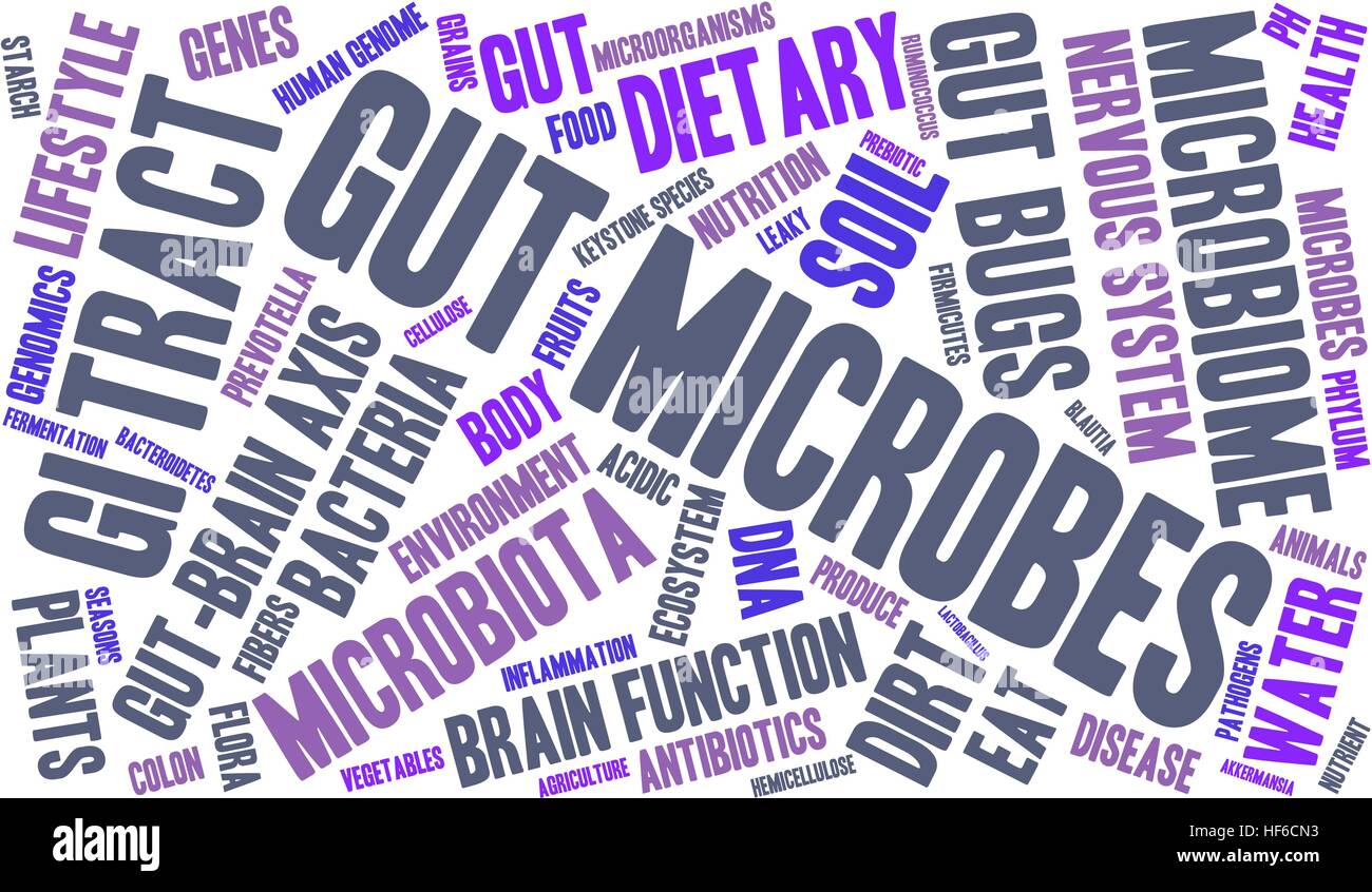 Gut Microbes word cloud on a white background Stock Vector Image & Art ...
