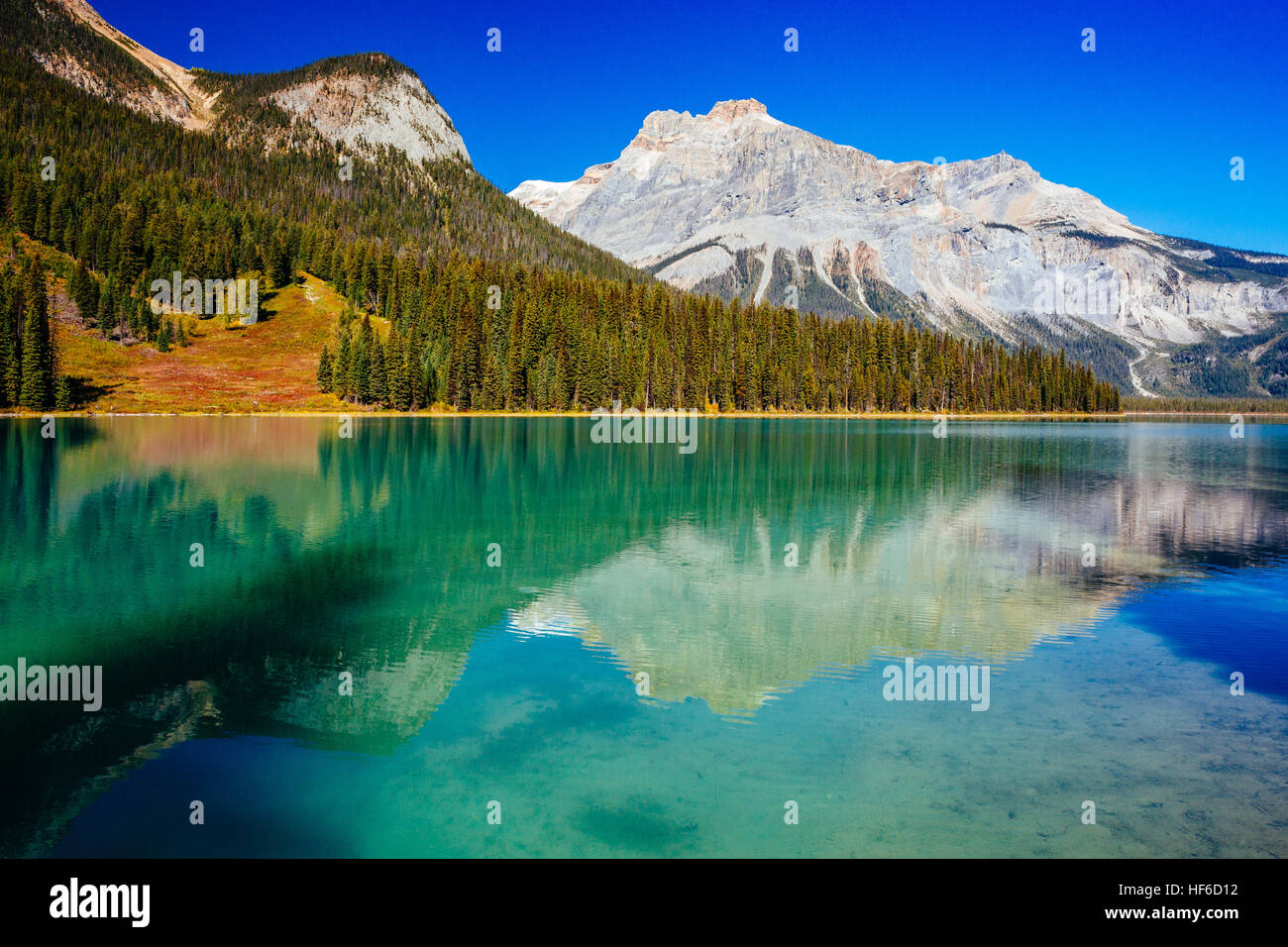 British columbia glacier national park hi-res stock photography and ...