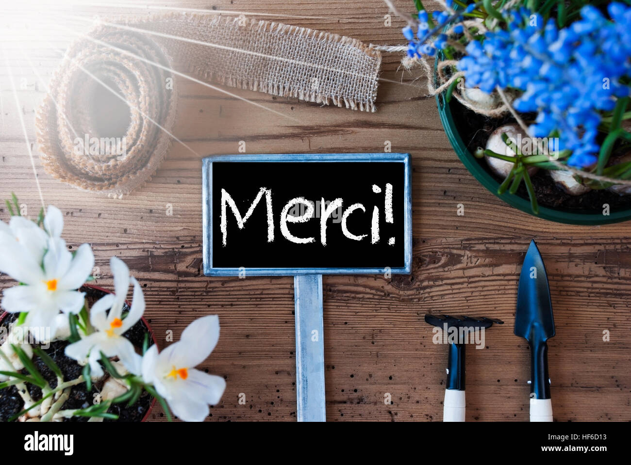 Sunny Spring Flowers, Sign, Merci Means Thank You Stock Photo - Alamy
