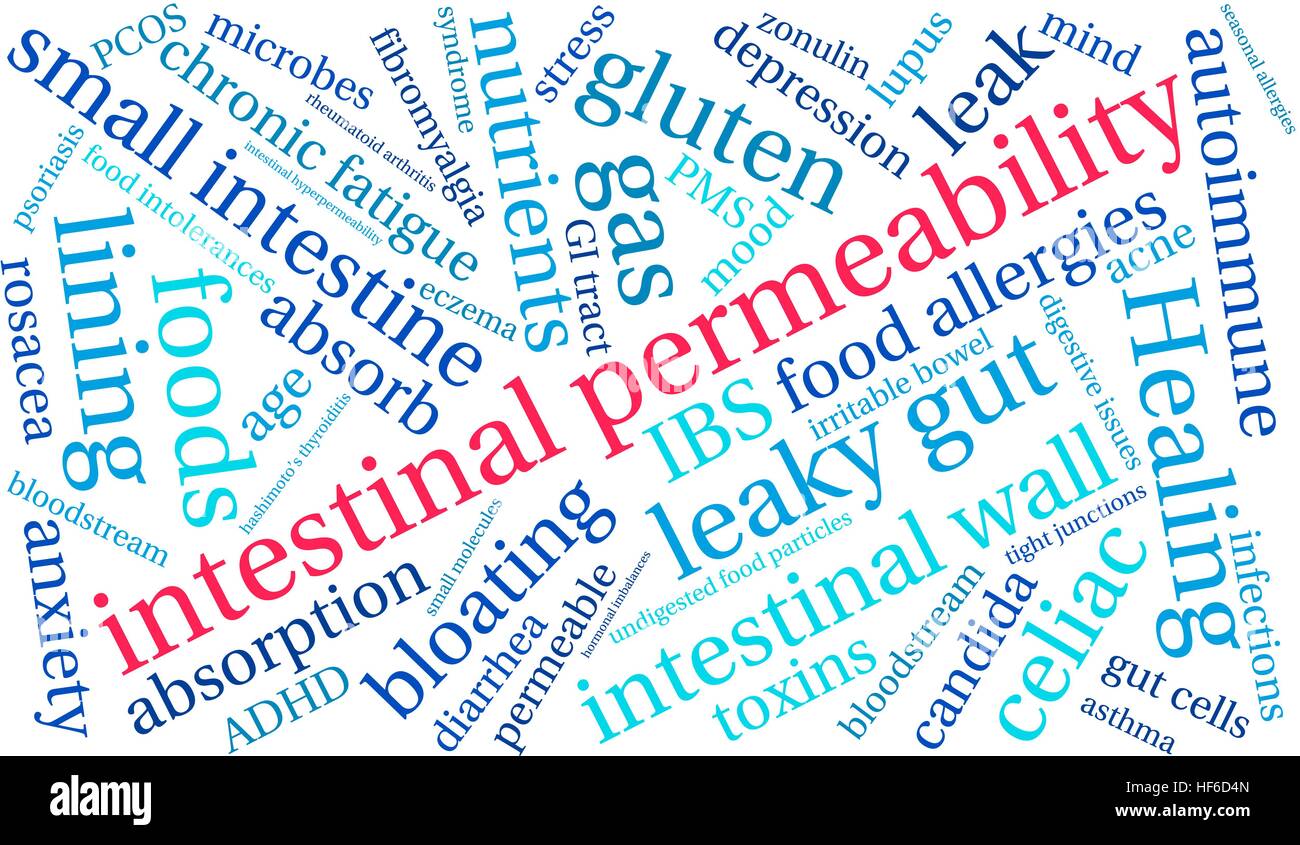 Intestinal Permeability word cloud on a white background Stock Vector ...
