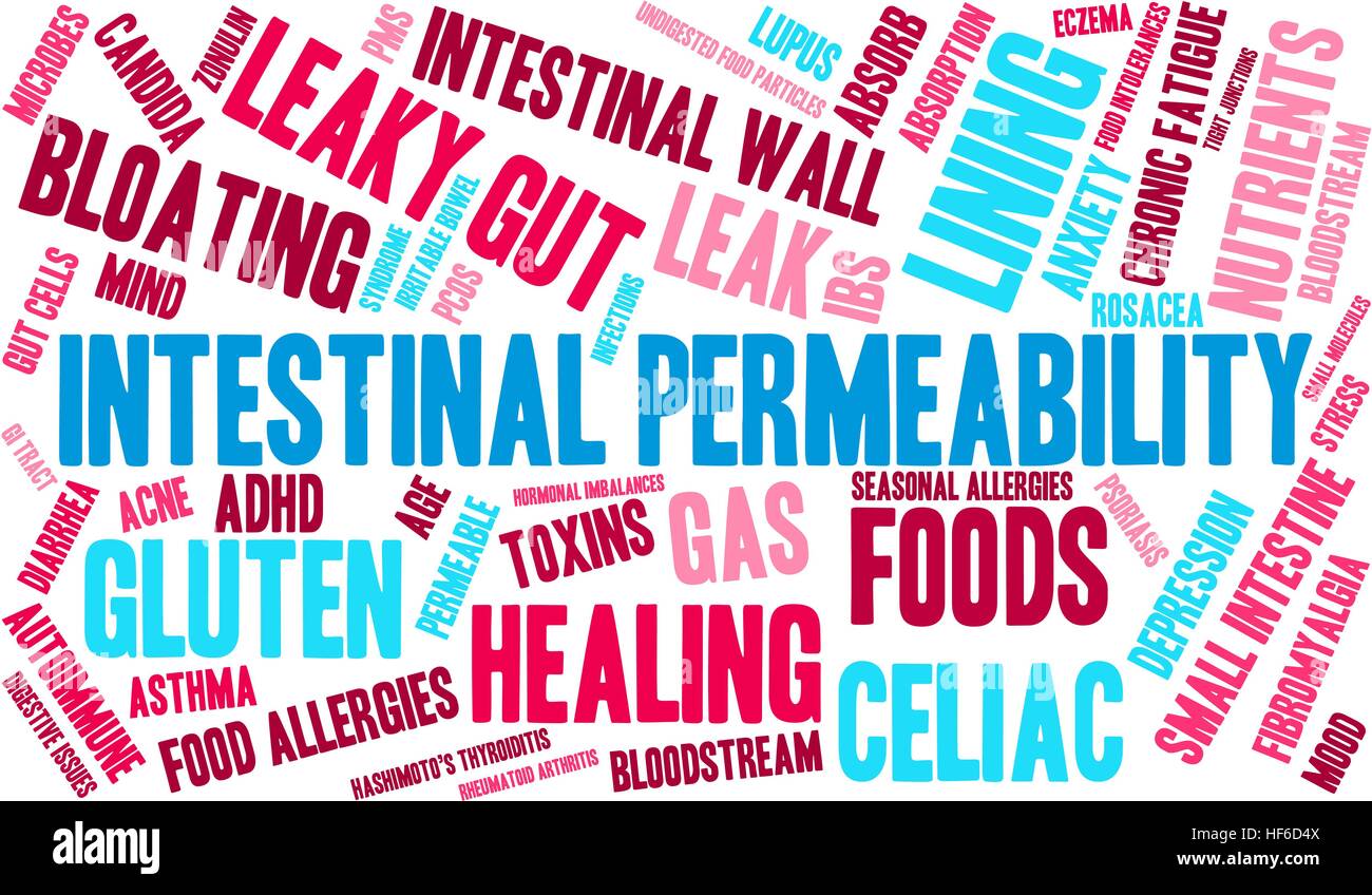 Intestinal Permeability word cloud on a white background Stock Vector ...
