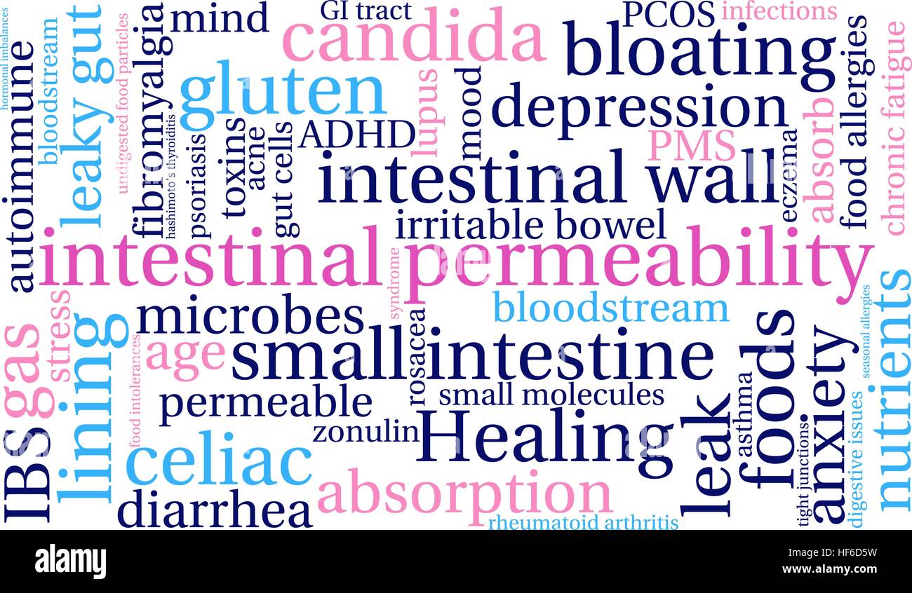 Intestinal Permeability word cloud on a white background Stock Vector ...