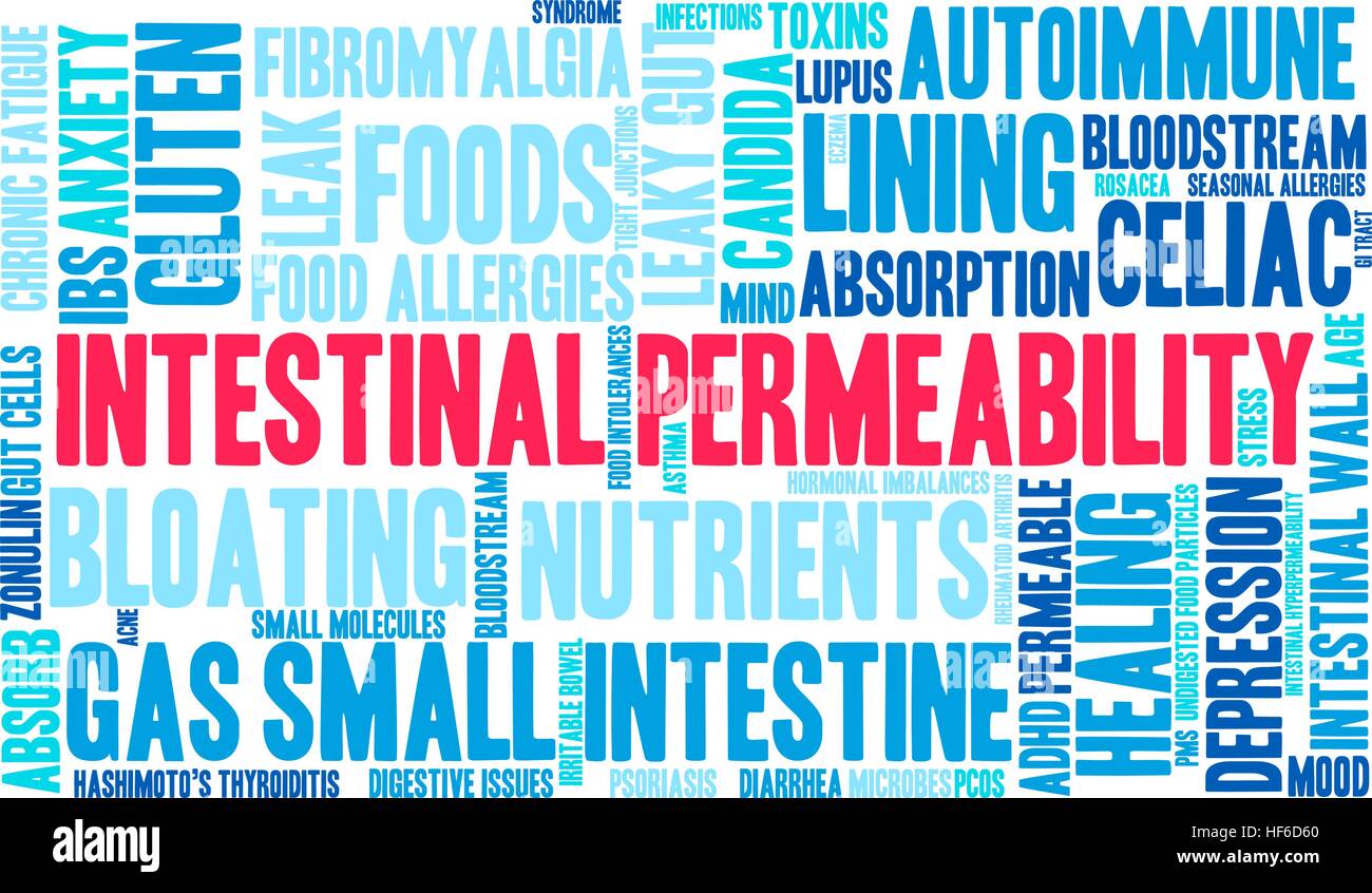 Intestinal Permeability word cloud on a white background Stock Vector ...