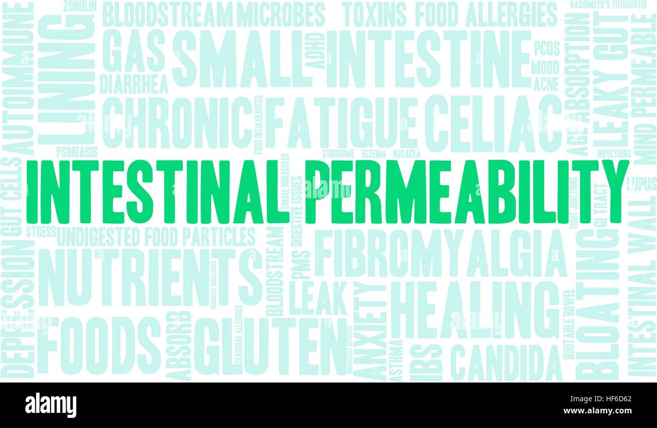 Intestinal Permeability word cloud on a white background Stock Vector ...