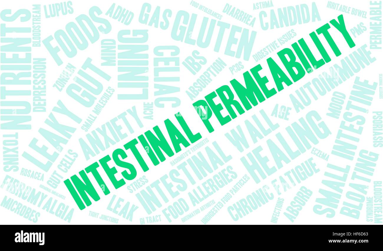 Intestinal Permeability word cloud on a white background Stock Vector ...