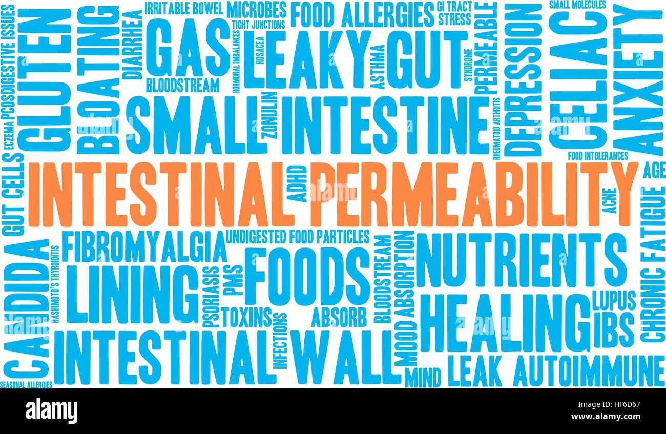 Intestinal Permeability word cloud on a white background Stock Vector ...