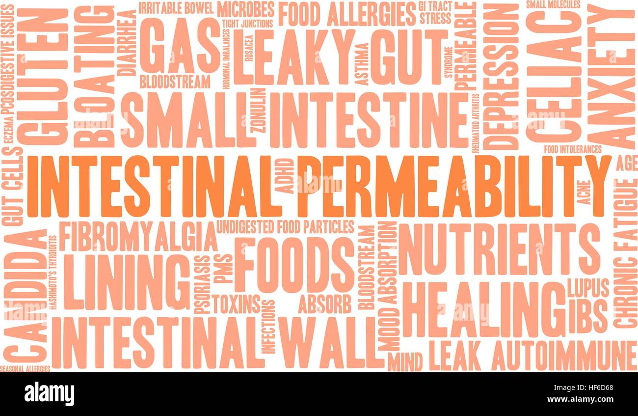Intestinal Permeability word cloud on a white background Stock Vector ...
