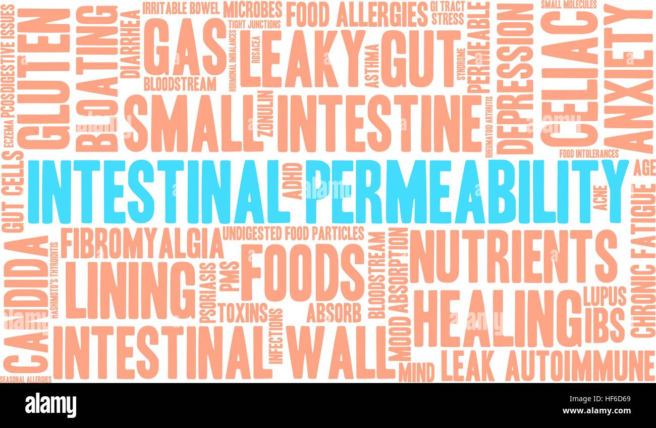 Intestinal Permeability word cloud on a white background Stock Vector ...