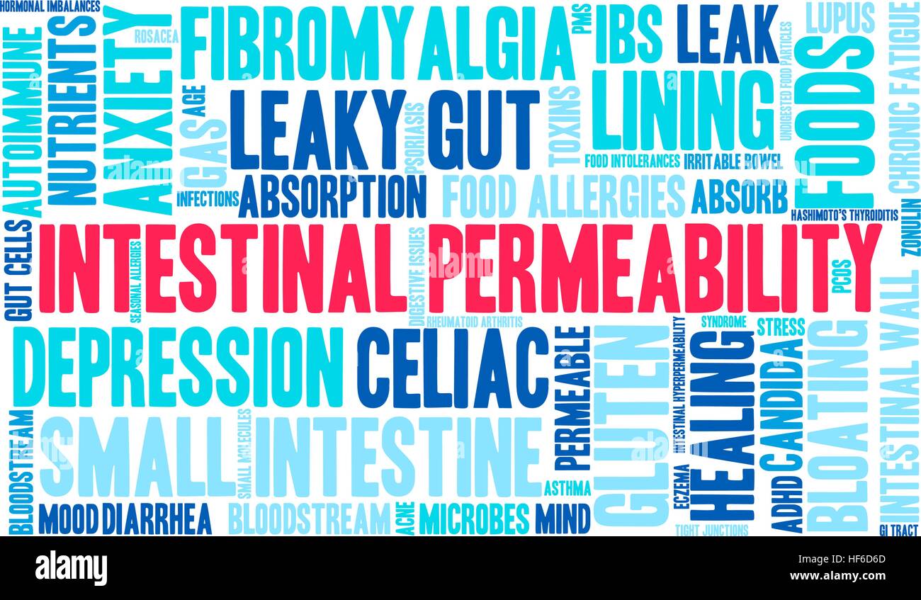 Intestinal Permeability word cloud on a white background Stock Vector ...