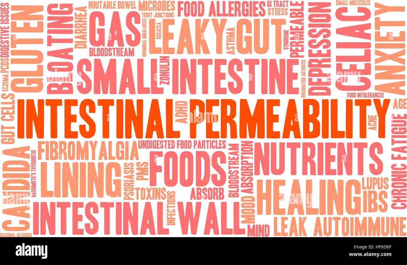 Intestinal Permeability word cloud on a white background Stock Vector ...