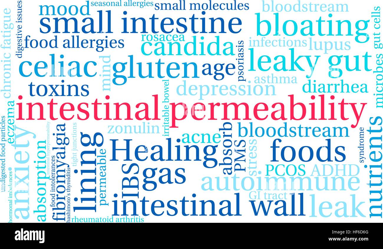 Intestinal Permeability word cloud on a white background Stock Vector ...