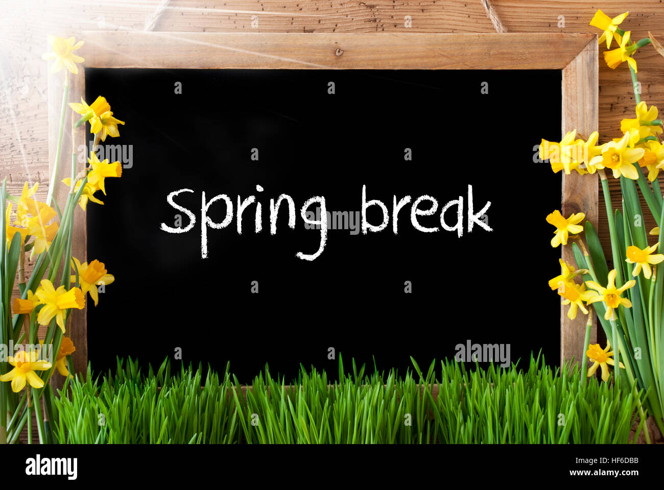 Sunny Narcissus, Chalkboard, Text Spring Break Stock Photo - Alamy