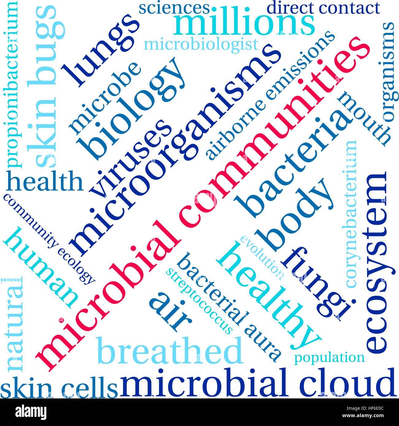 Microbial Communities word cloud on a white background Stock Vector ...
