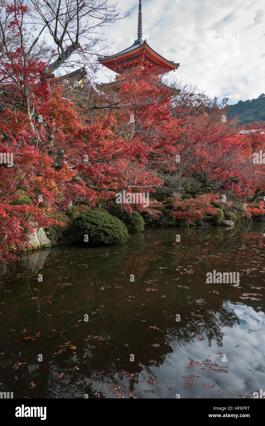 Floating Pagoda High Resolution Stock Photography and Images - Alamy
