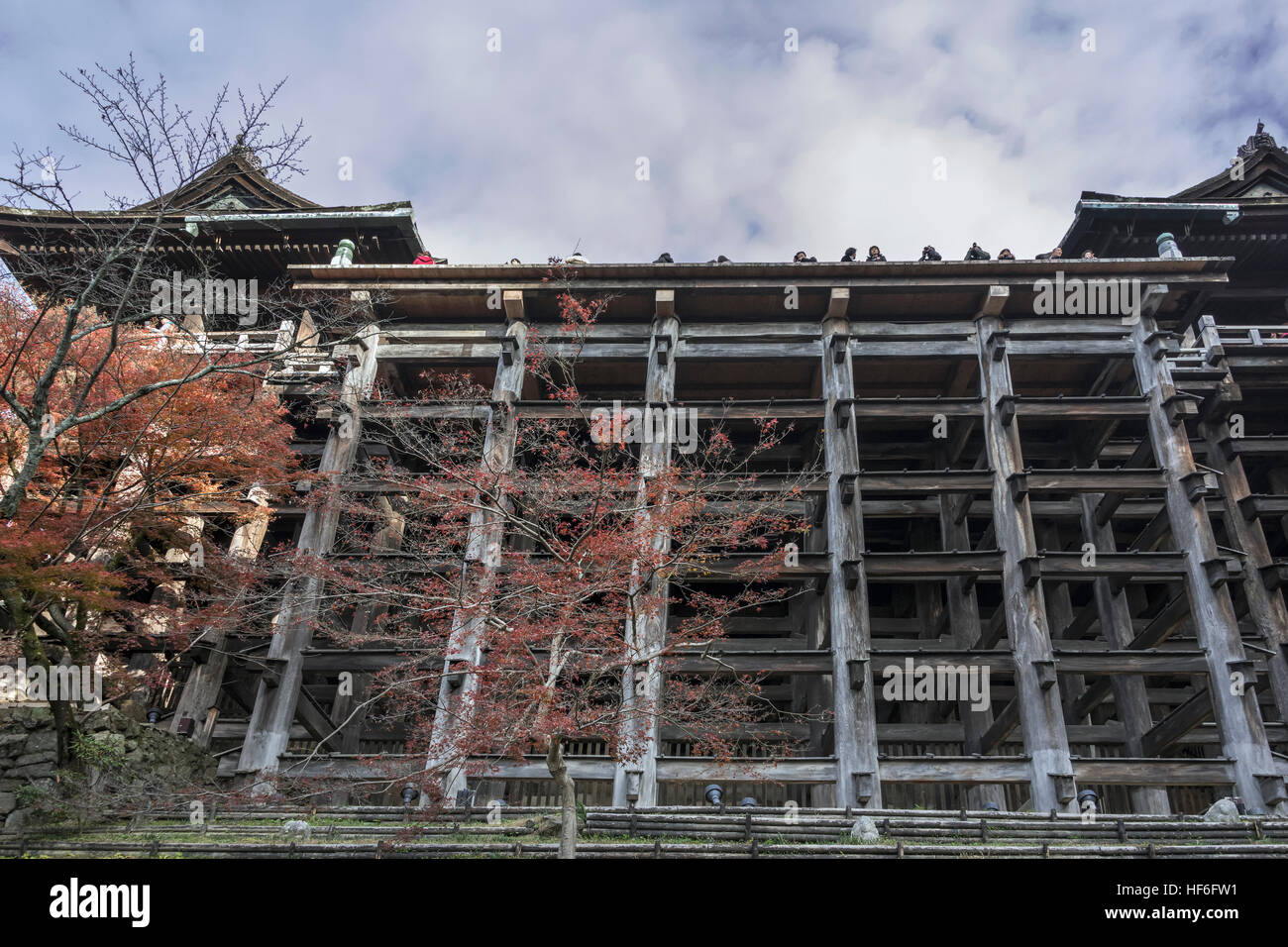 Tenon and tenon structure hi-res stock photography and images - Alamy