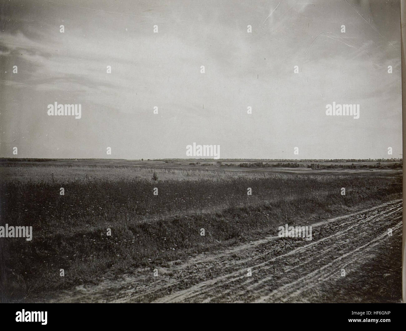 A photograph from War Album 89, image 26055, depicting the German 89th ...