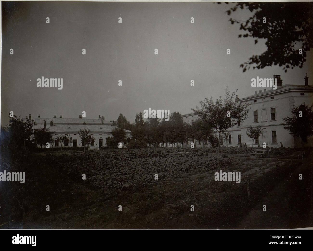 A photograph from War Album 89, showcasing military life during World ...