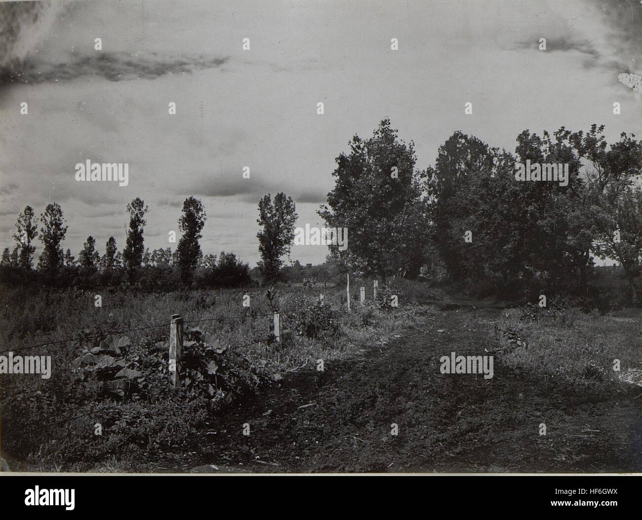 A historical image from the World War I collection, Kriegsalbum 89 ...
