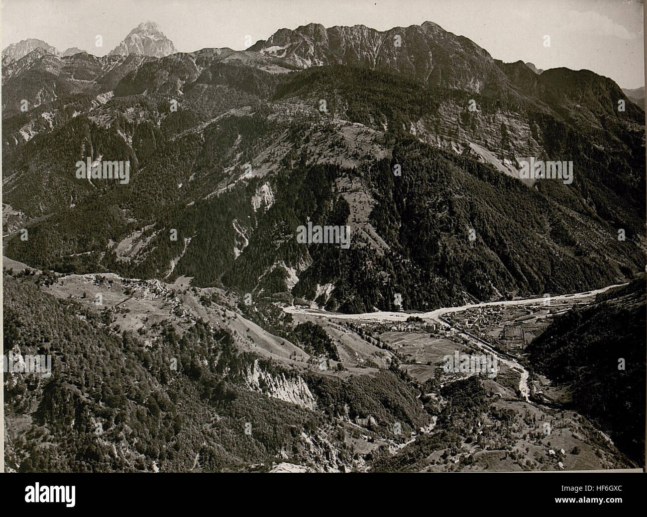 Panorama taken by an artillery observer, showing deer heads against the ...