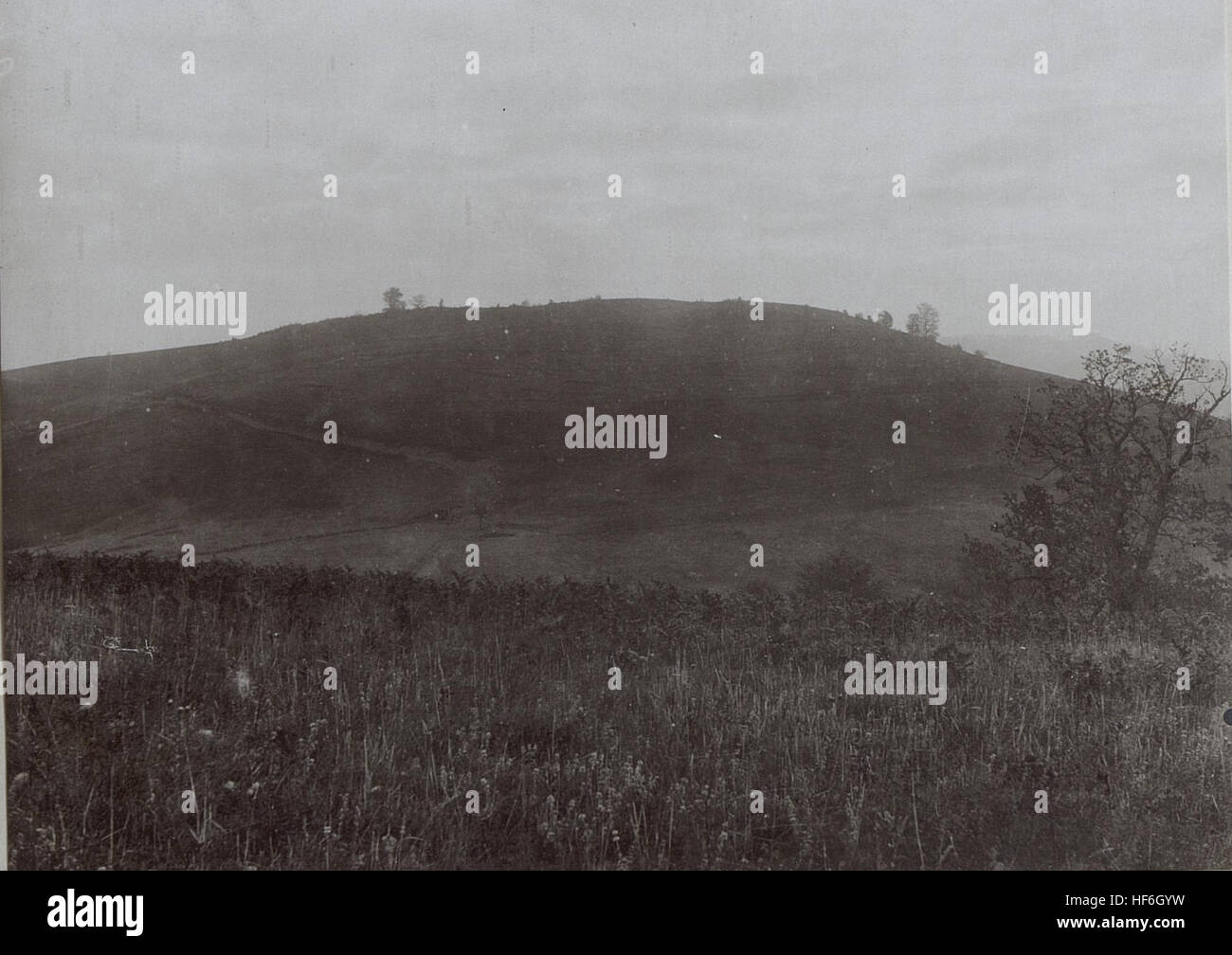 The Nameless Hill 1000 steps northeast of 743 and Cavcici 15660410 ...