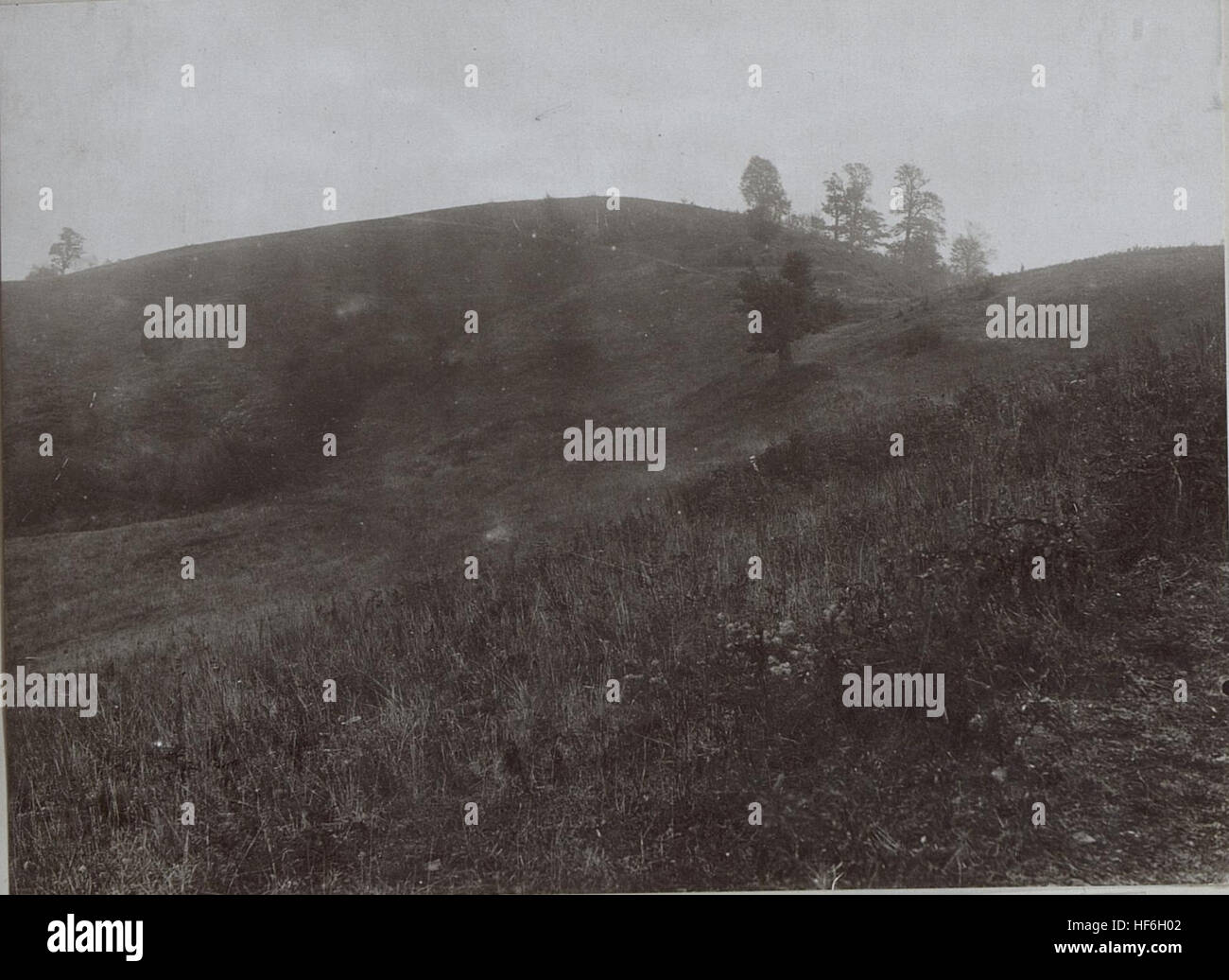 A historical photograph from the First World War, capturing the south ...