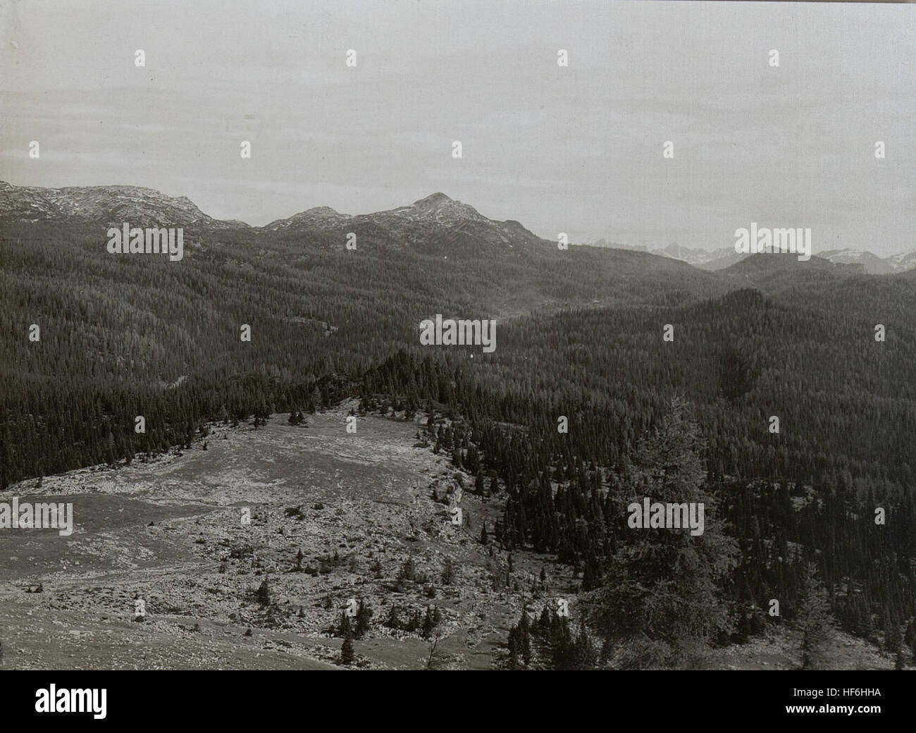 A photograph from World War I Album 88, showing a significant scene ...