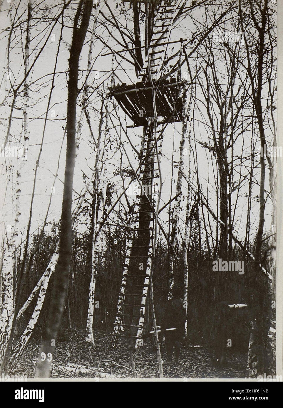 Abandoned artillery observation post due to a lack of foliage, World ...