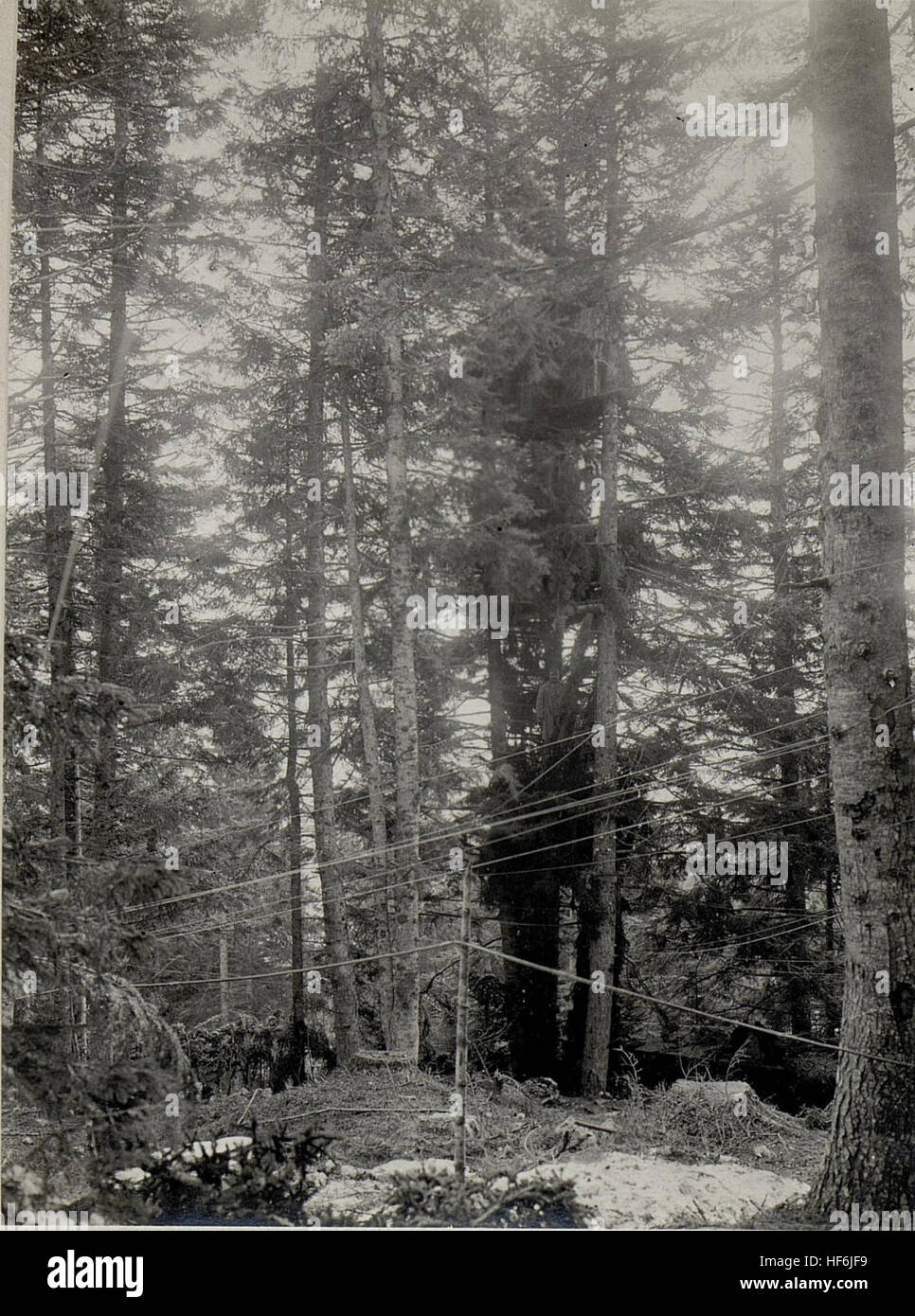 A lookout tower used during World War I, part of the military ...