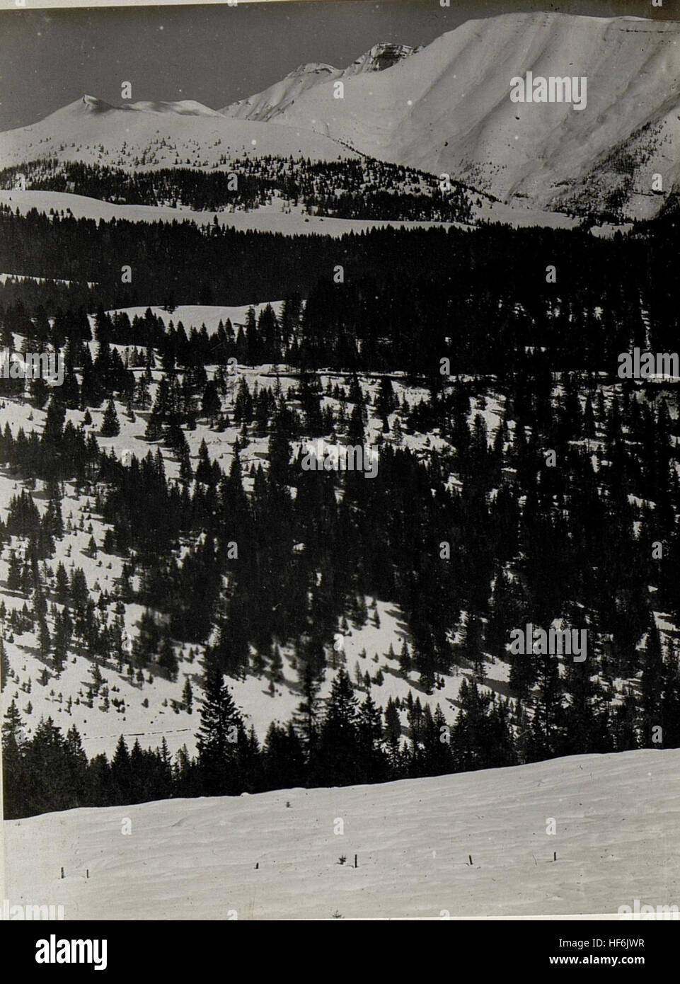 A panoramic view from the Lusern position during World War I, showing ...