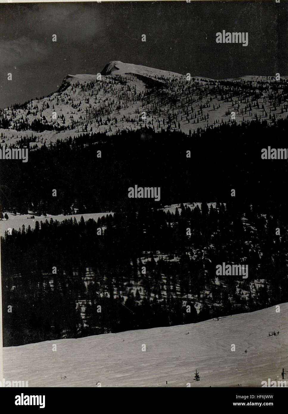 Panoramic view from the Lusern position, World War I, part 10 ...