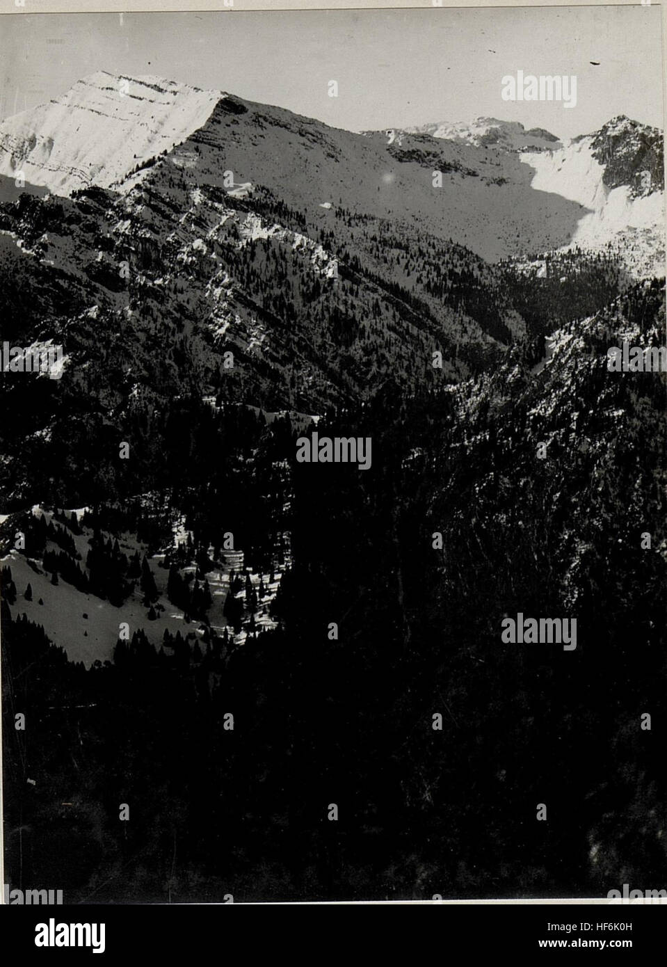 A panoramic view from a World War I observation point, taken during the ...