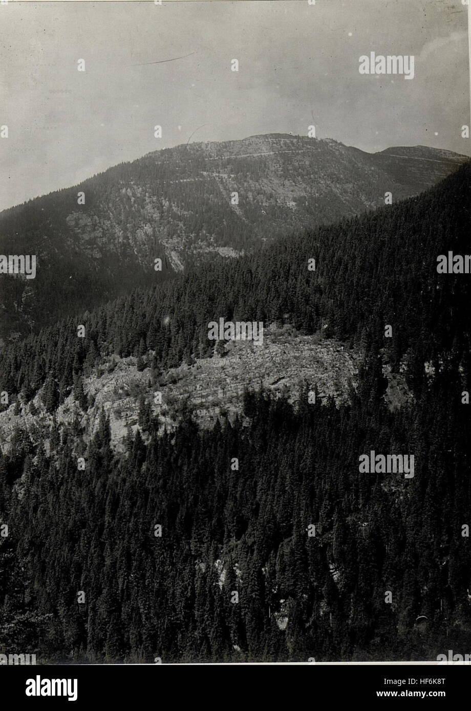 A panoramic photograph from Mount Moscio, captured during World War I ...