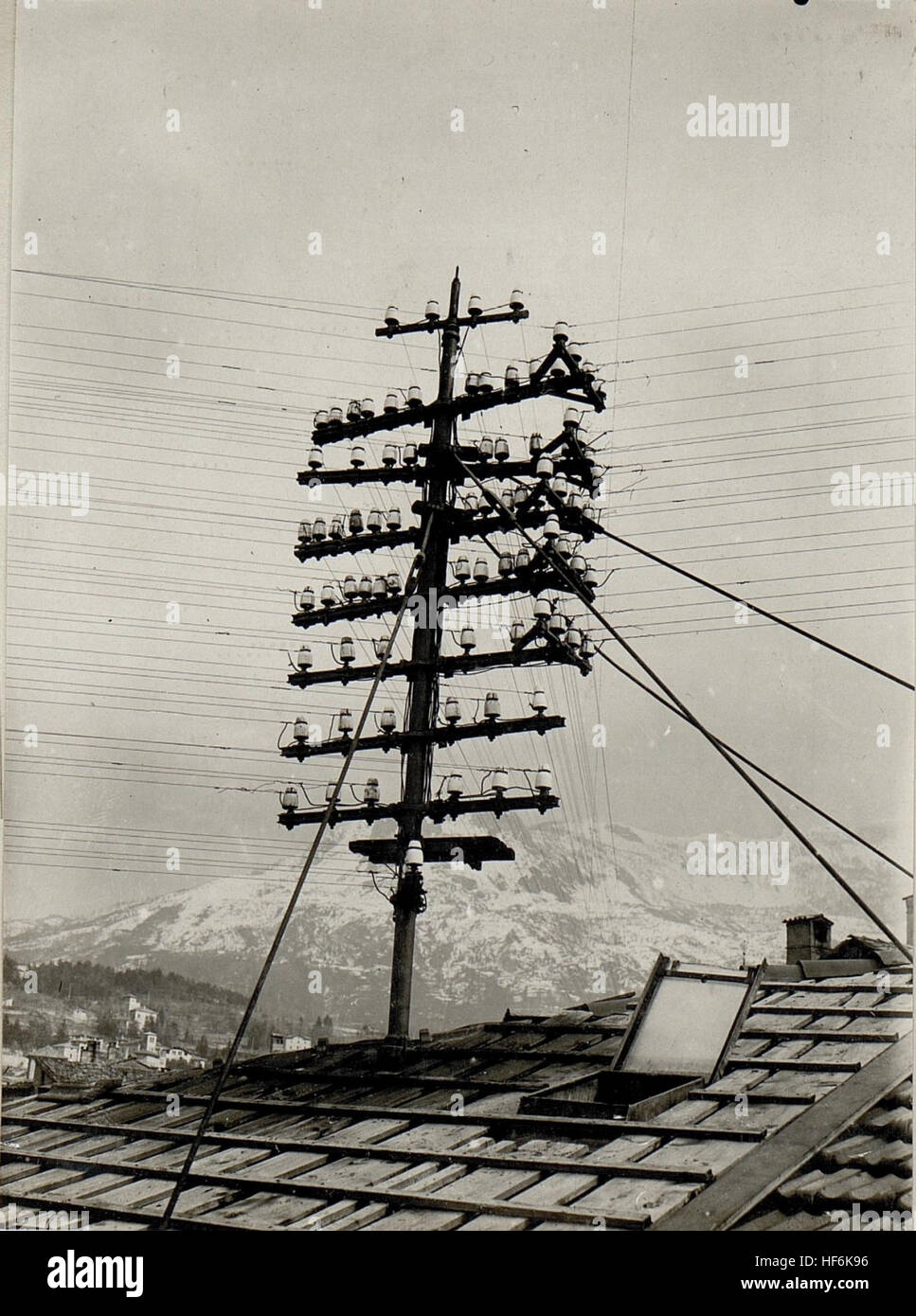 A historical photograph showing a telegraph pole, used for military ...