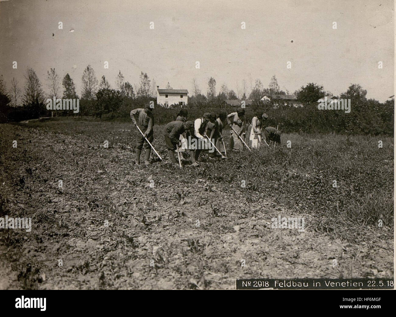 This photograph depicts agricultural land in the Venetian territories ...