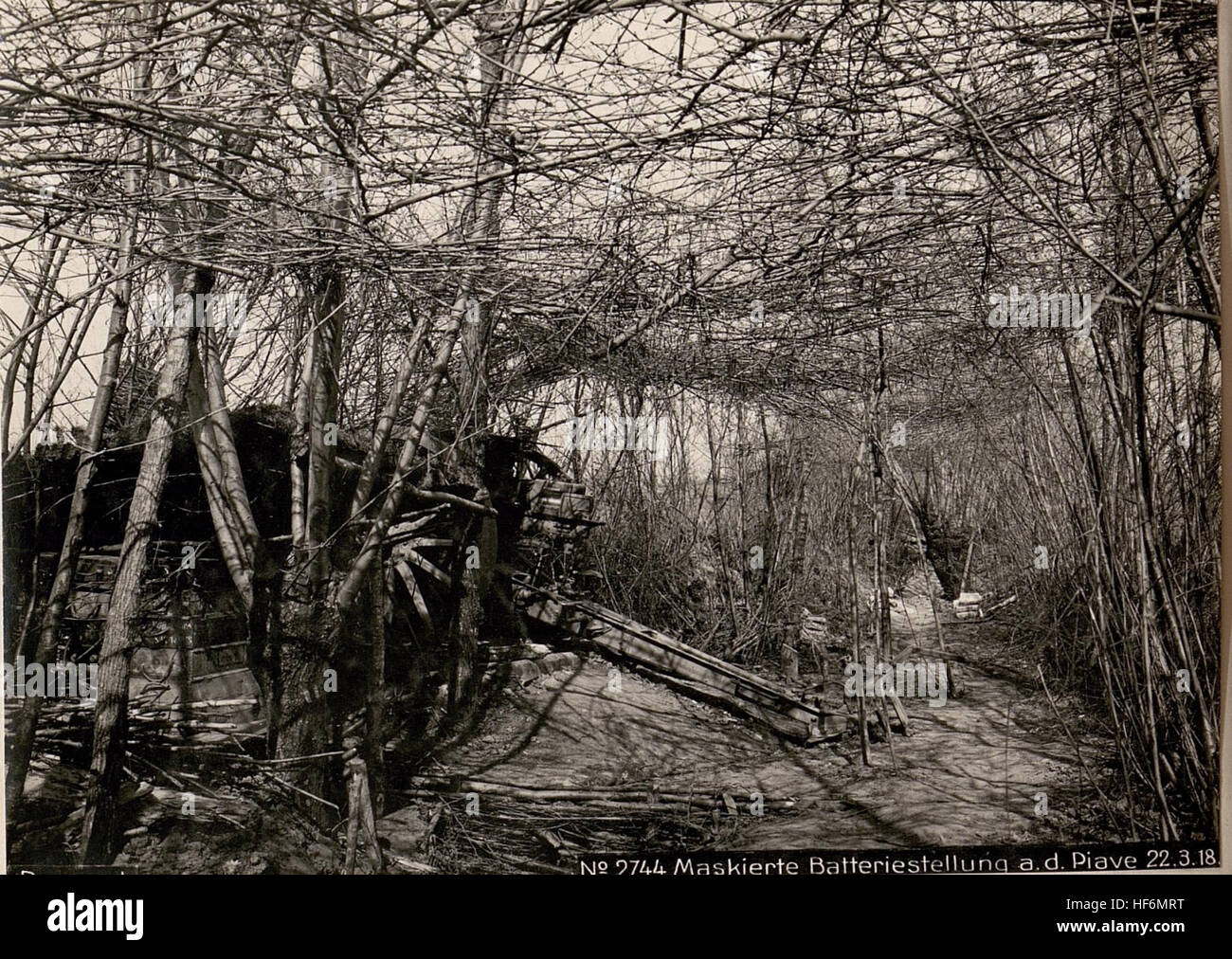 A masked artillery position on the Piave Front during World War I ...