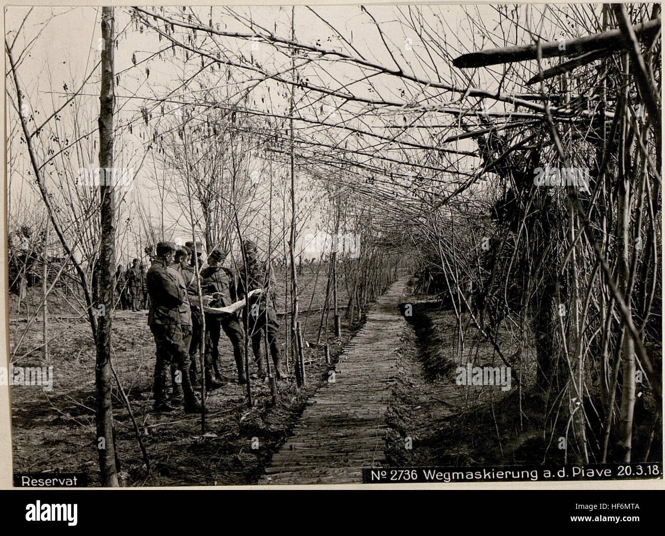 A photograph showing the camouflage work at the Piave front during ...