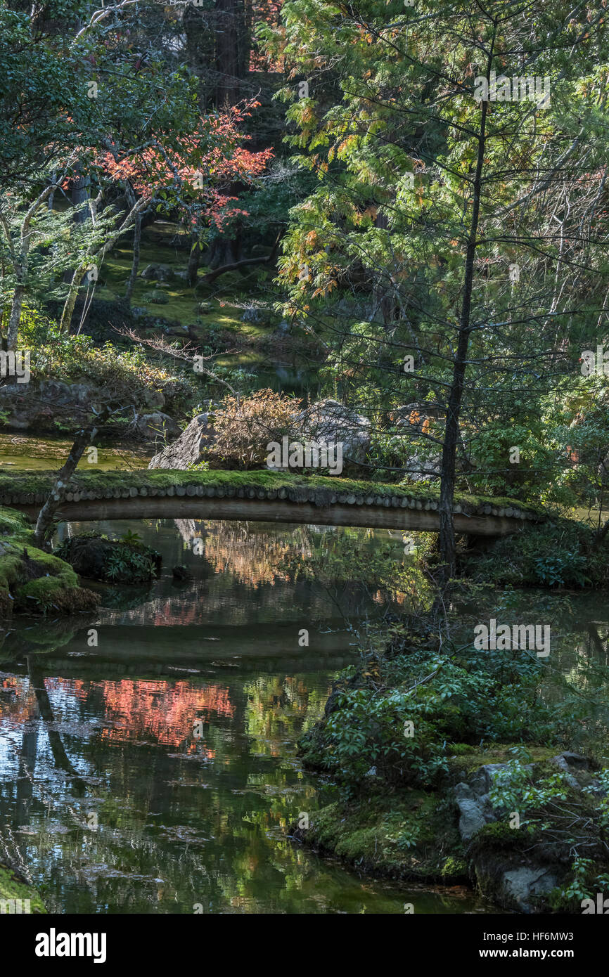 Moss covered bridge hi-res stock photography and images - Alamy