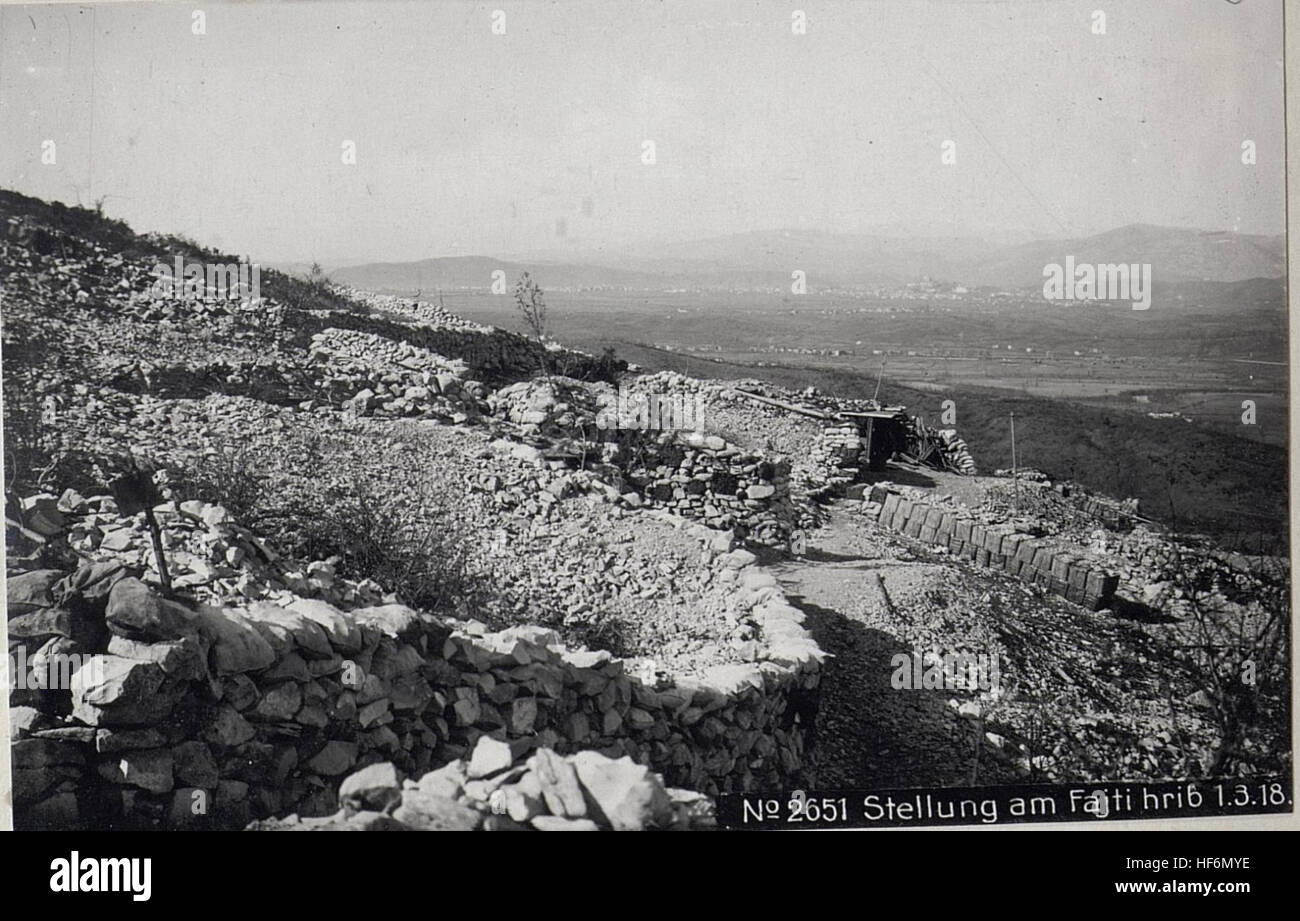 Fajti Hrib High Resolution Stock Photography and Images - Alamy