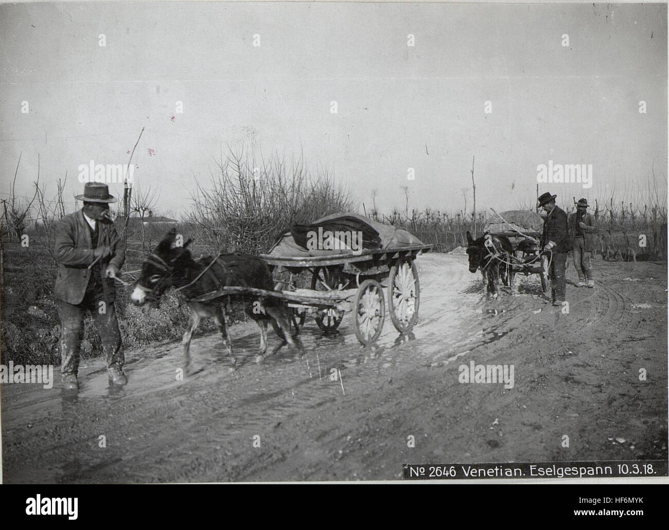 Wwi piave front hi-res stock photography and images - Alamy