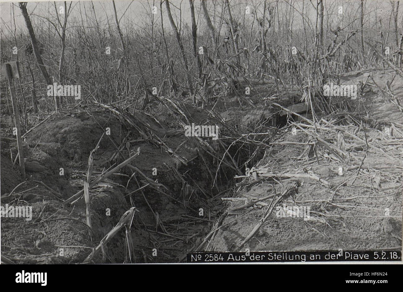 View from the Piave position, 5th February 1918, during World War I ...