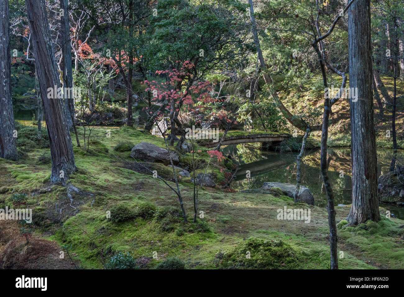 Moss covered bridge hi-res stock photography and images - Alamy