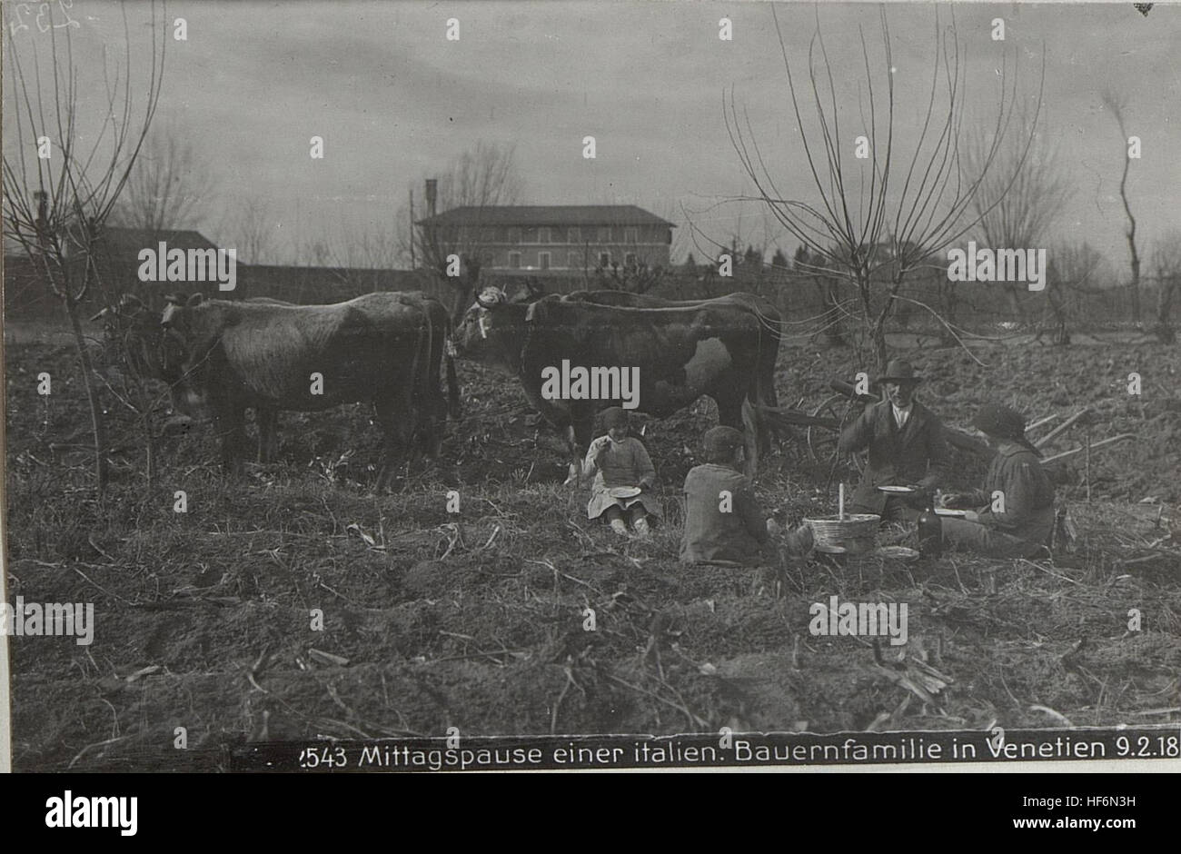 Italian farmer family’s lunch break in Veneto, February 9, 1918, Piave ...