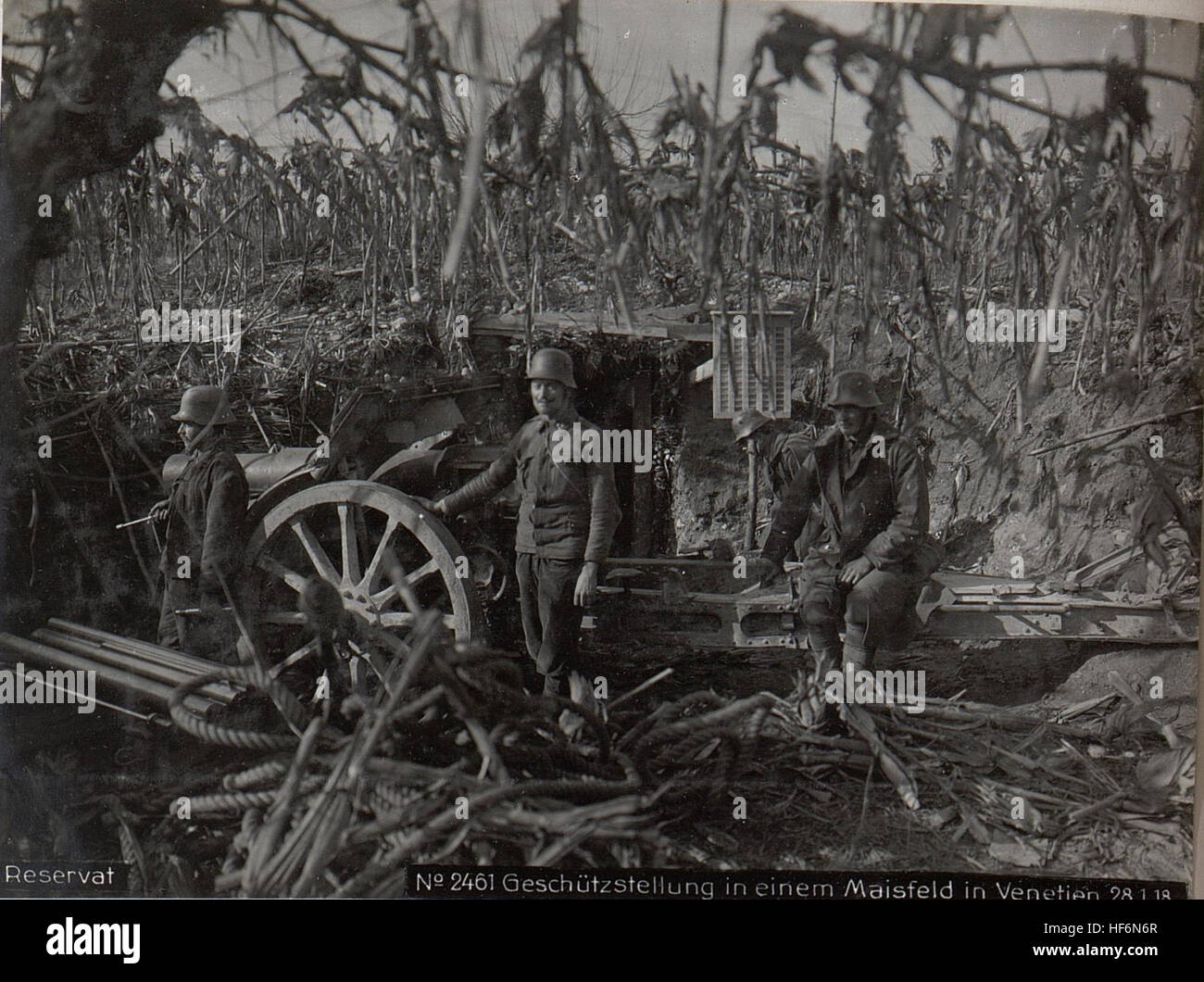 Artillery position in a cornfield in Veneto, 28.1.18, 15614460, World ...