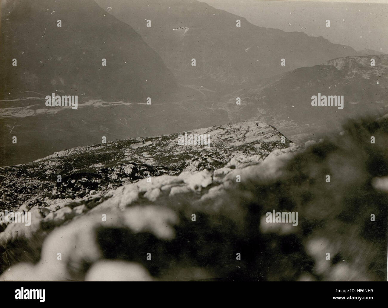 Kleiner rombon hi-res stock photography and images - Alamy