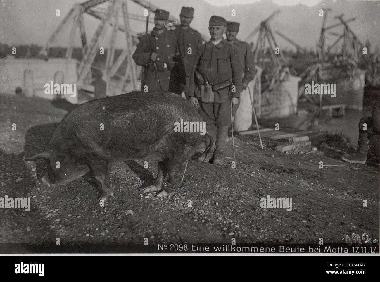 Welcome prey at Motta, 17 November 1917, WWI, Europeana Collections ...