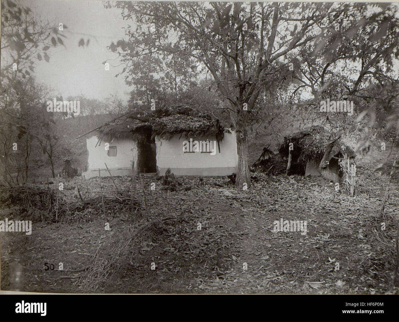 A destroyed Hutsul house in the front lines during World War I ...