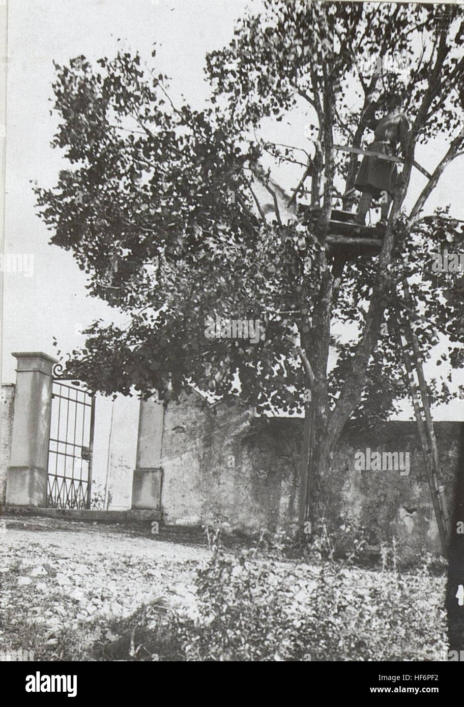 A photograph showing the aerial observer position at the Isonzo Front ...